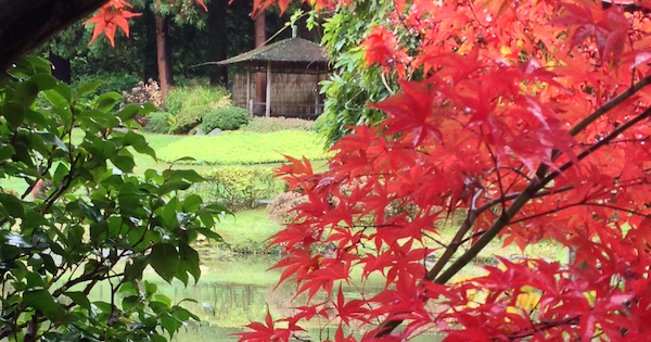 Jason Marshall S Blog Tech And Programming Blog